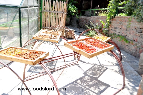 Foodslord | Fruit drying process