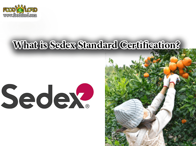 Foodslord | What is Sedex Standard Certification? , How Sedex works?