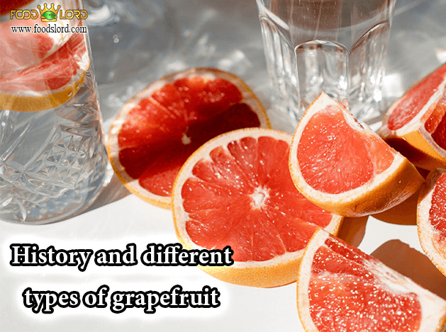 Foodslord | History and different types of grapefruit