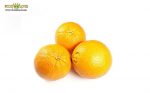 Foodslord | History of orange and its different types