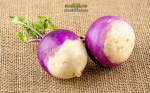 Foodslord | History of turnip, what are the different types of turnips?